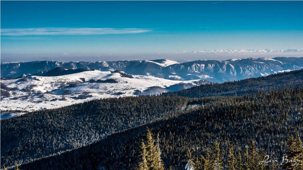 Plimbări de iarnă în zona Muntele Băișorii - Buscat, județul Cluj ...
