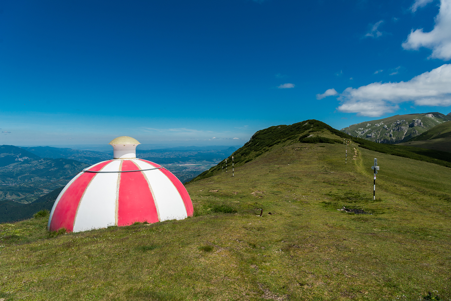 Peisaje de vis și flori de munte în abruptul vestic al Bucegilor ...