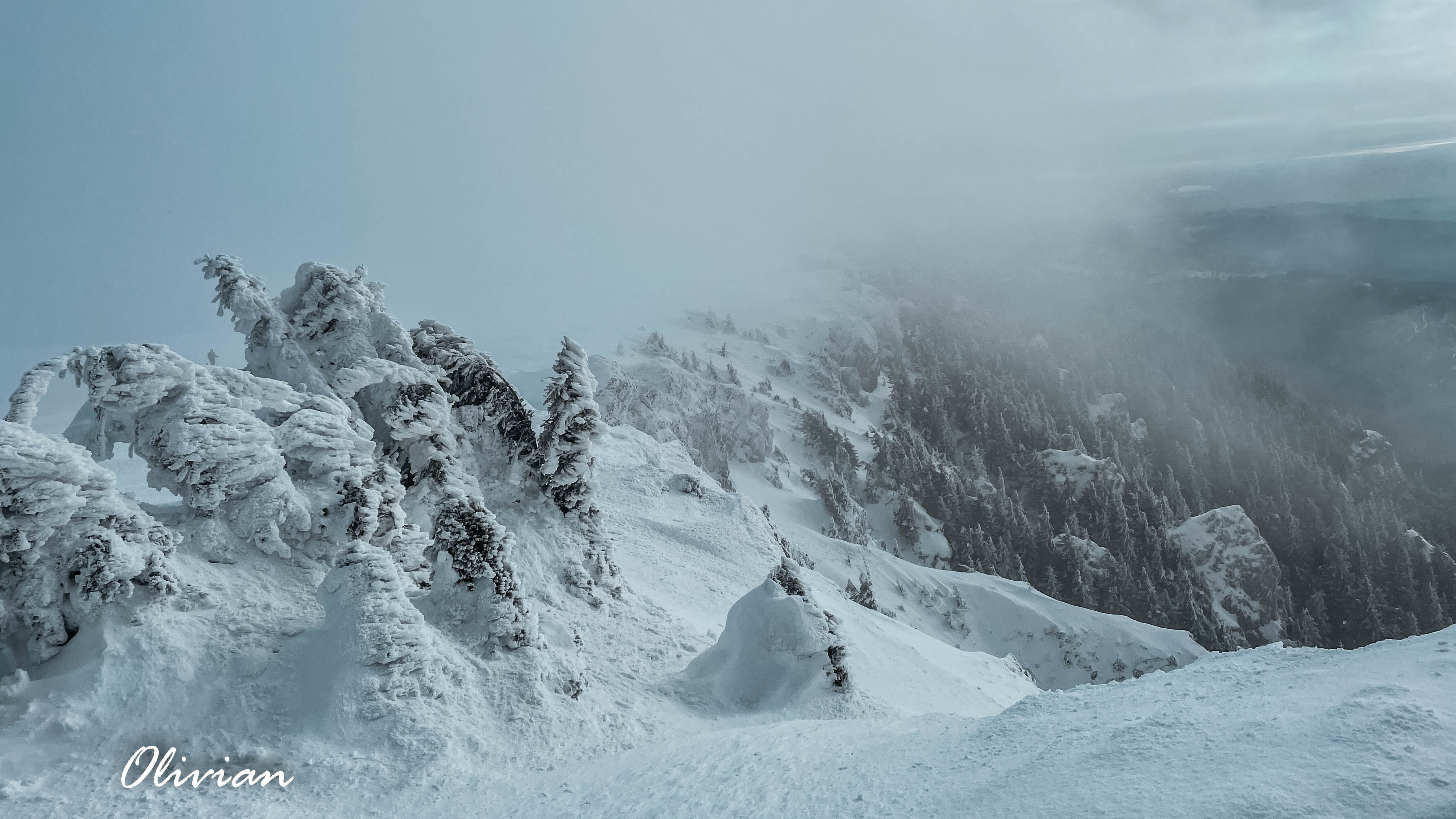 MUNTII HASMAS | CANIONUL SECUILOR | Piatra Singuratica, Vf.Ecem, Cabana ...