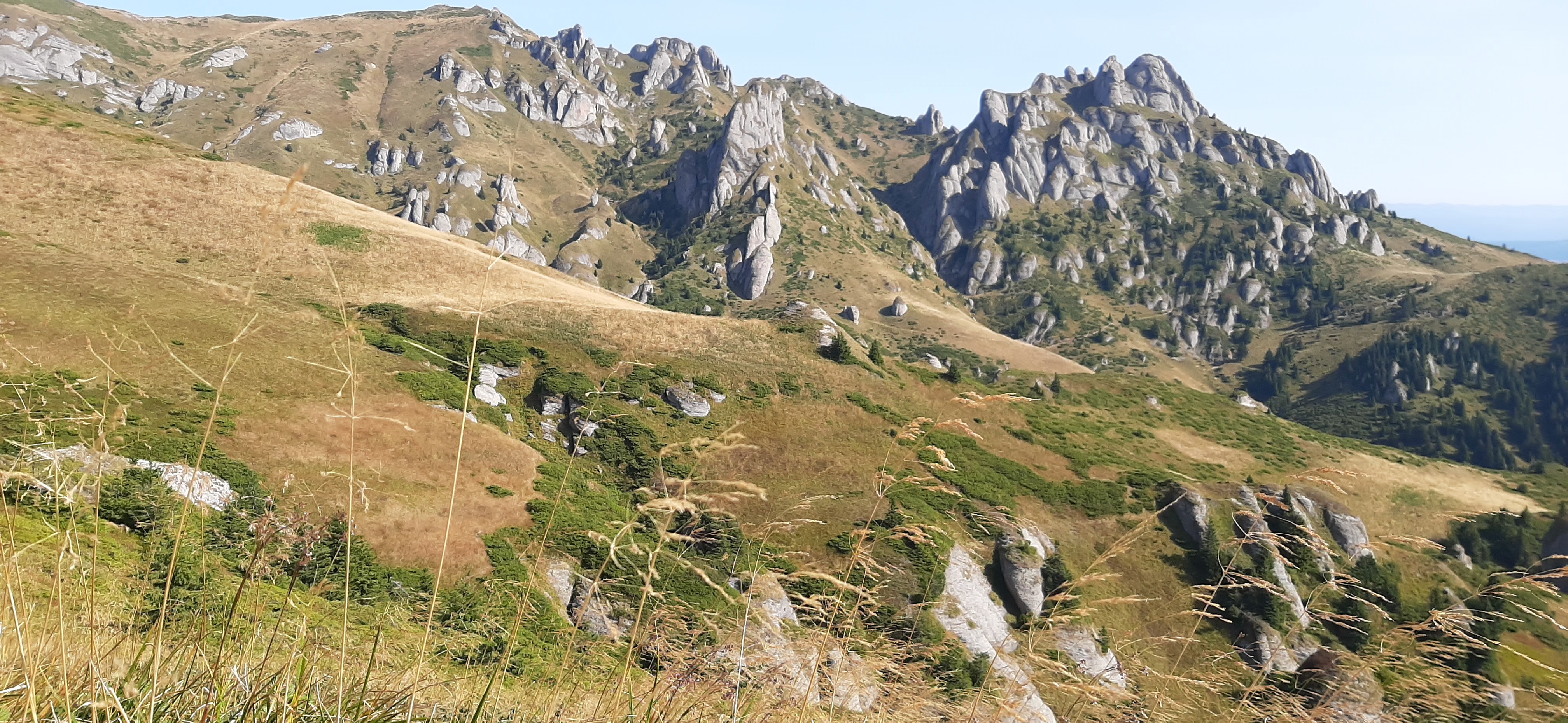 Traseu din Pasul Bratocea până pe vârful Ciucas | Muntii Nostri