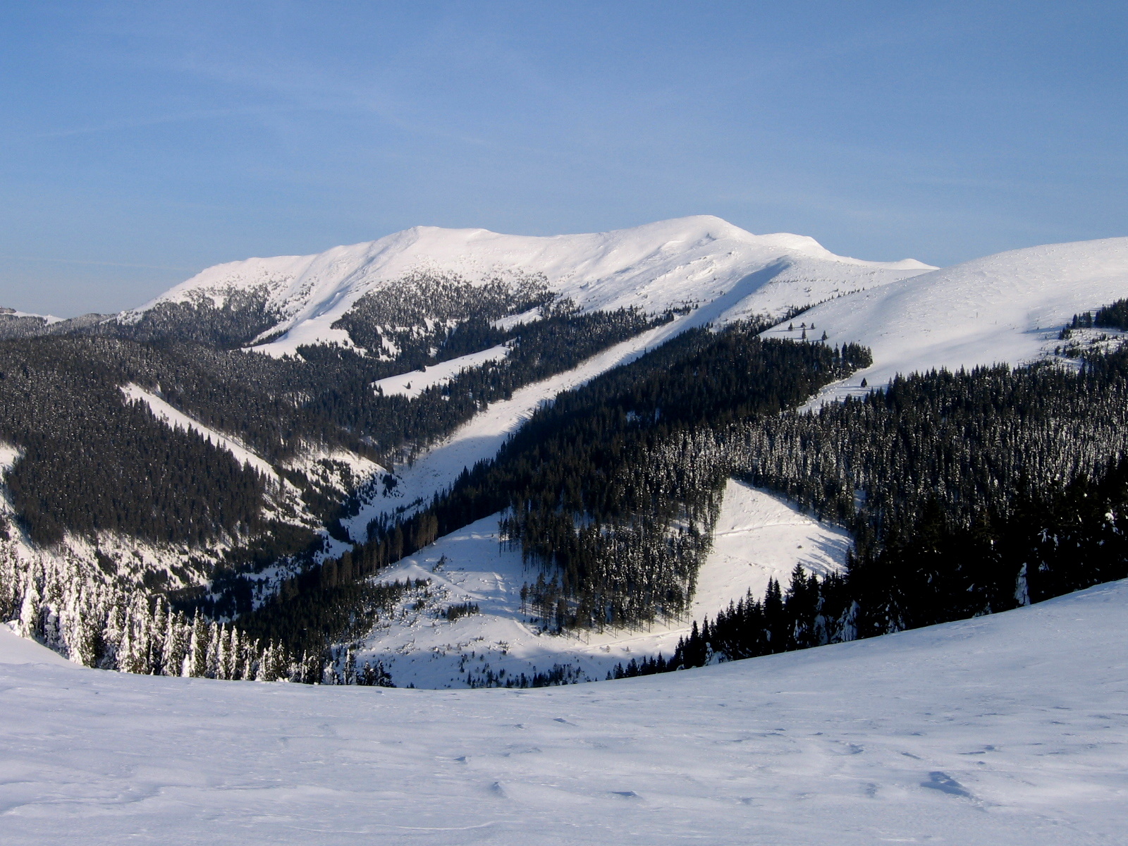 Din Pasul Rotunda, schi de tură spre Vf. Omu, Munții Suhard | Muntii Nostri