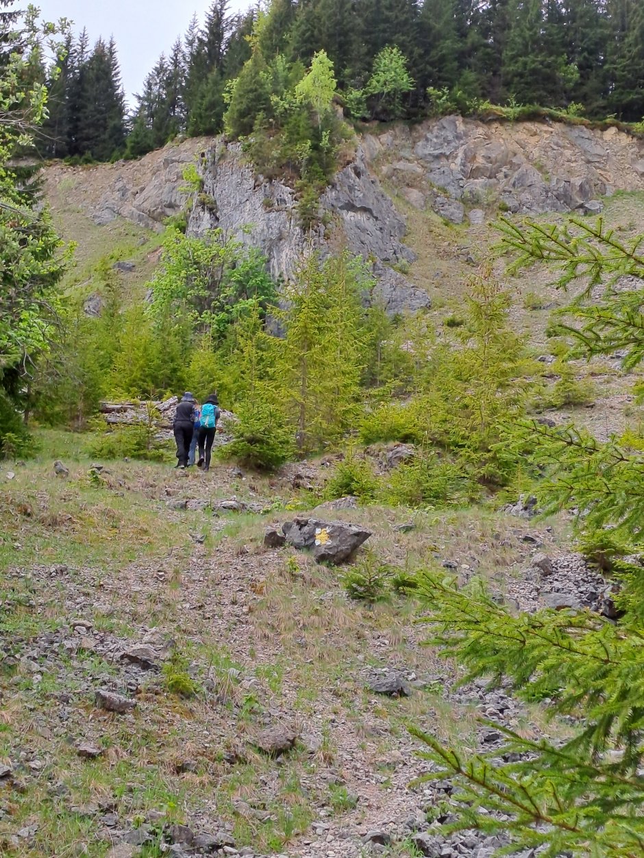 Circuit Moara Dracului | Muntii Nostri