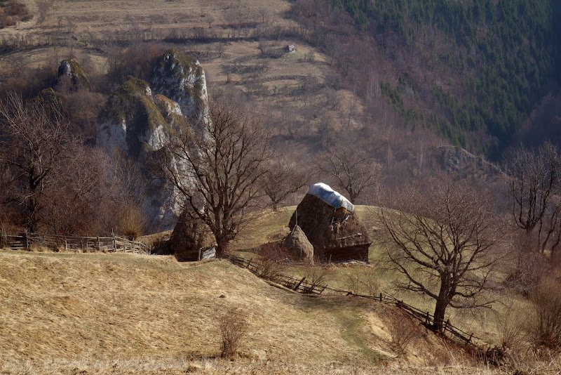 Circuit Dealul Bilii | Muntii Nostri