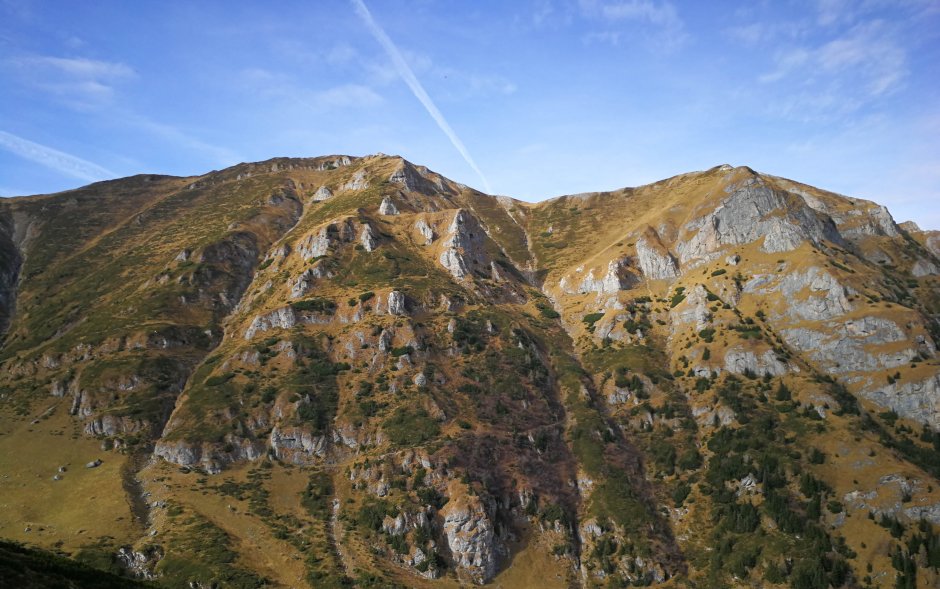 Malaiest, Tiganest | Muntii Nostri