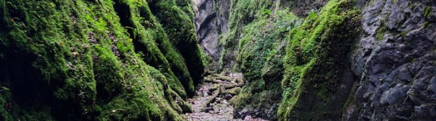 Canionul Sighiștel - paradisul verde al Apusenilor | Muntii Nostri